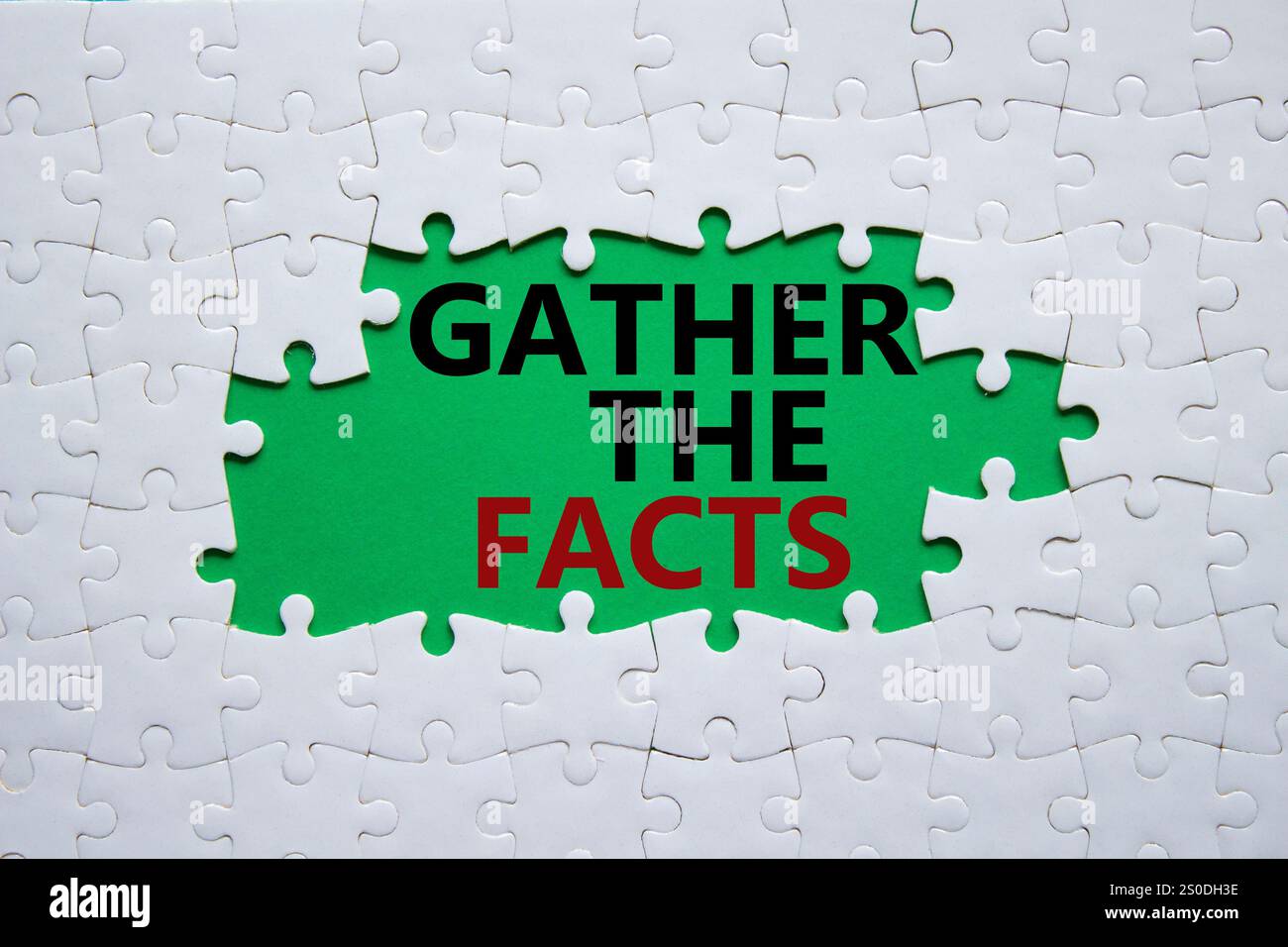 Gather the facts symbol. Concept words Gather the facts on white puzzle ...