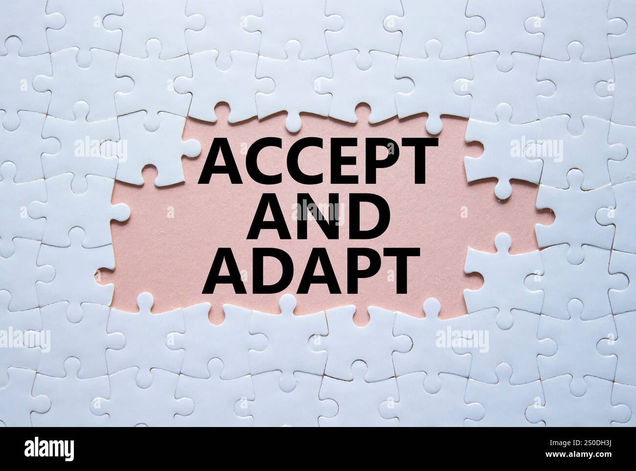 Accept or adapt symbol. Concept words Accept and adapt on white puzzle ...