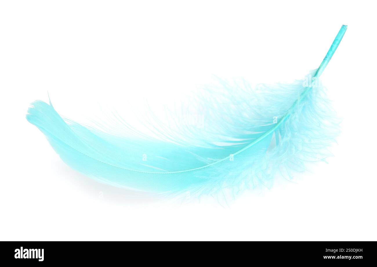 One fluffy light feather isolated on white Stock Photo - Alamy