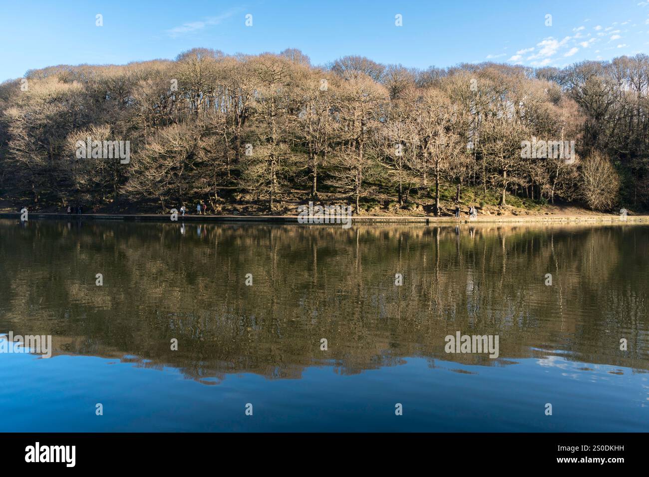 December view of trees reflected in Waterloo Lake in Roundhay Park ...