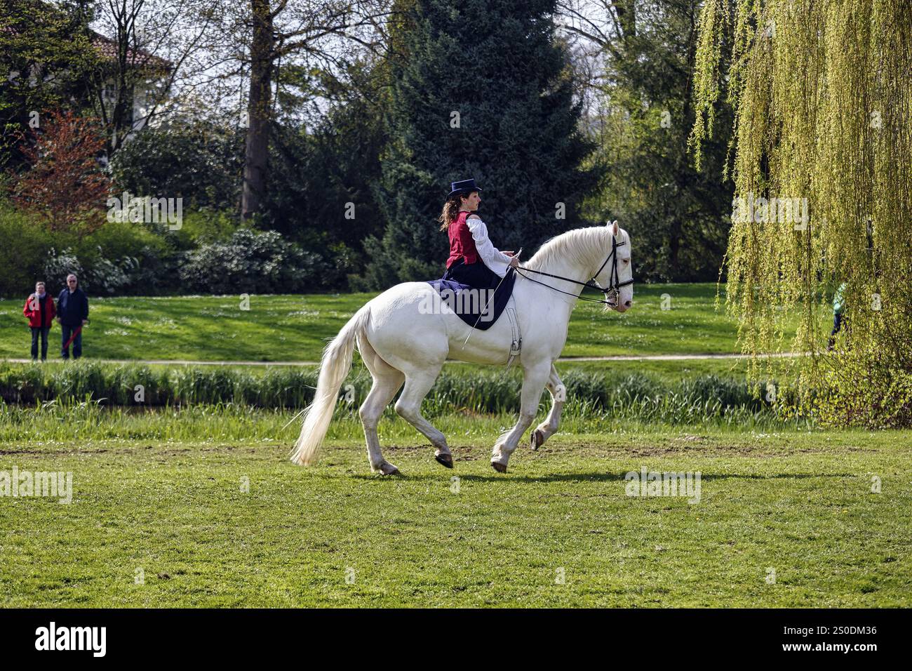 Demonstration, rider Julia Temmler during liberty dressage on ...