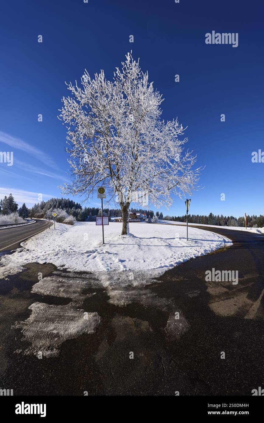Winter landscape with federal road B500, bus stop Gasth. Kreuz and free ...