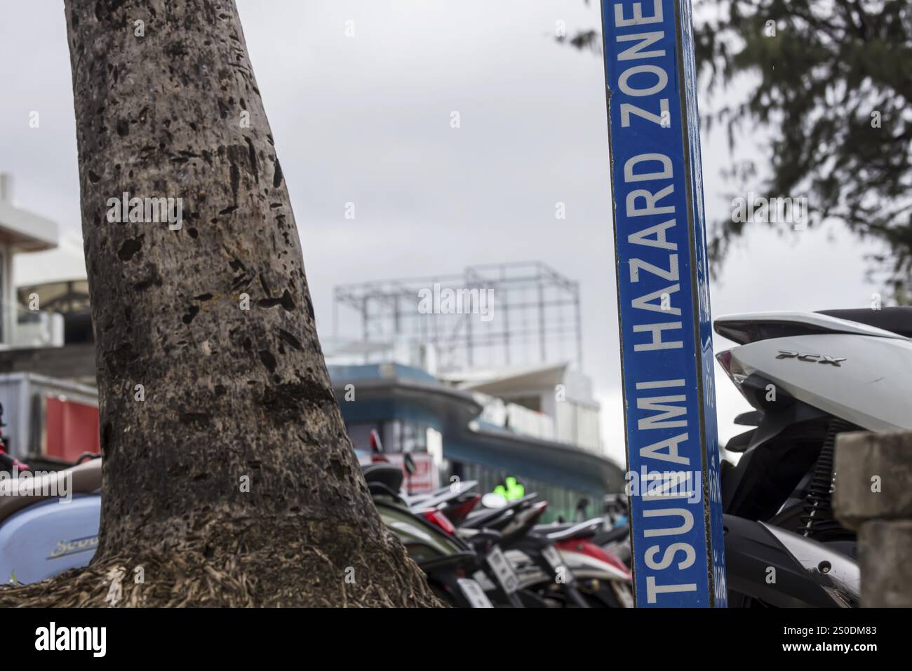 Tsunami Hazard Zone. Warning sign, signposting of escape routes in the ...