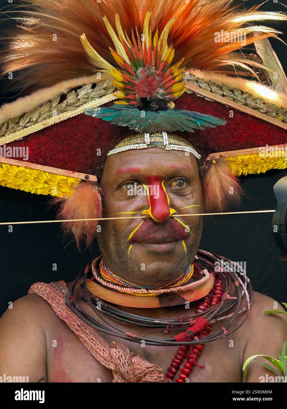 The Huli Wigmen of Papua New Guinea, Highlands Region Stock Photo - Alamy