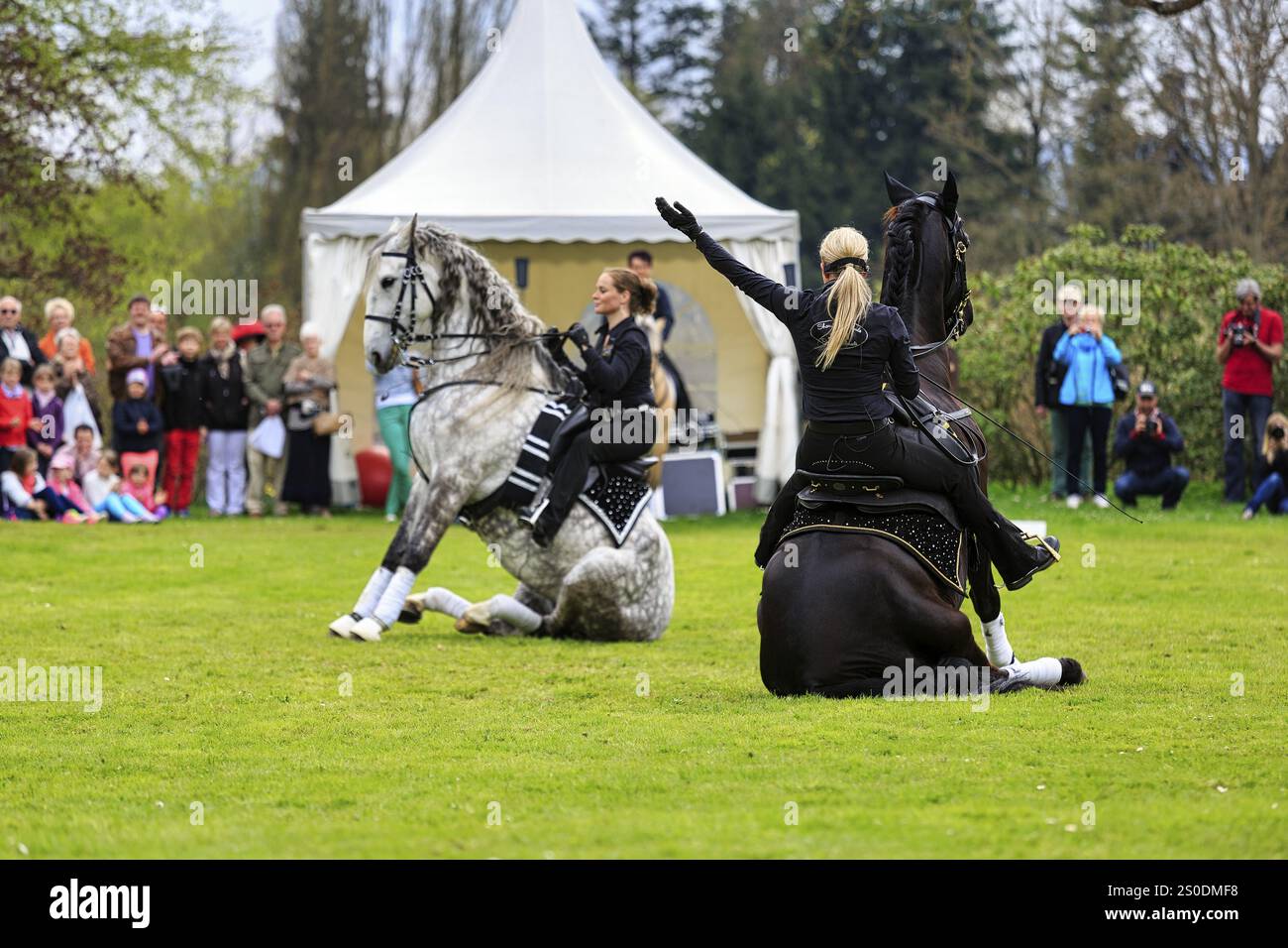 Two riders, Friesian horse, dressage demonstration, audience, garden ...