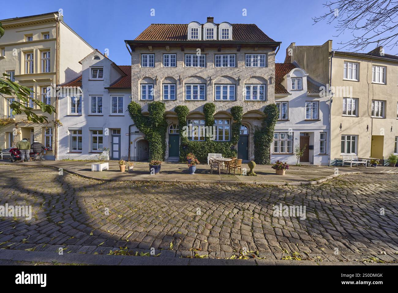Historic house, facades with windows, doors and wall ties, Common ivy ...