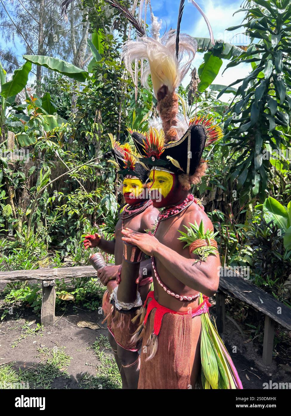 The Huli Wigmen of Papua New Guinea, Highlands Region Stock Photo - Alamy