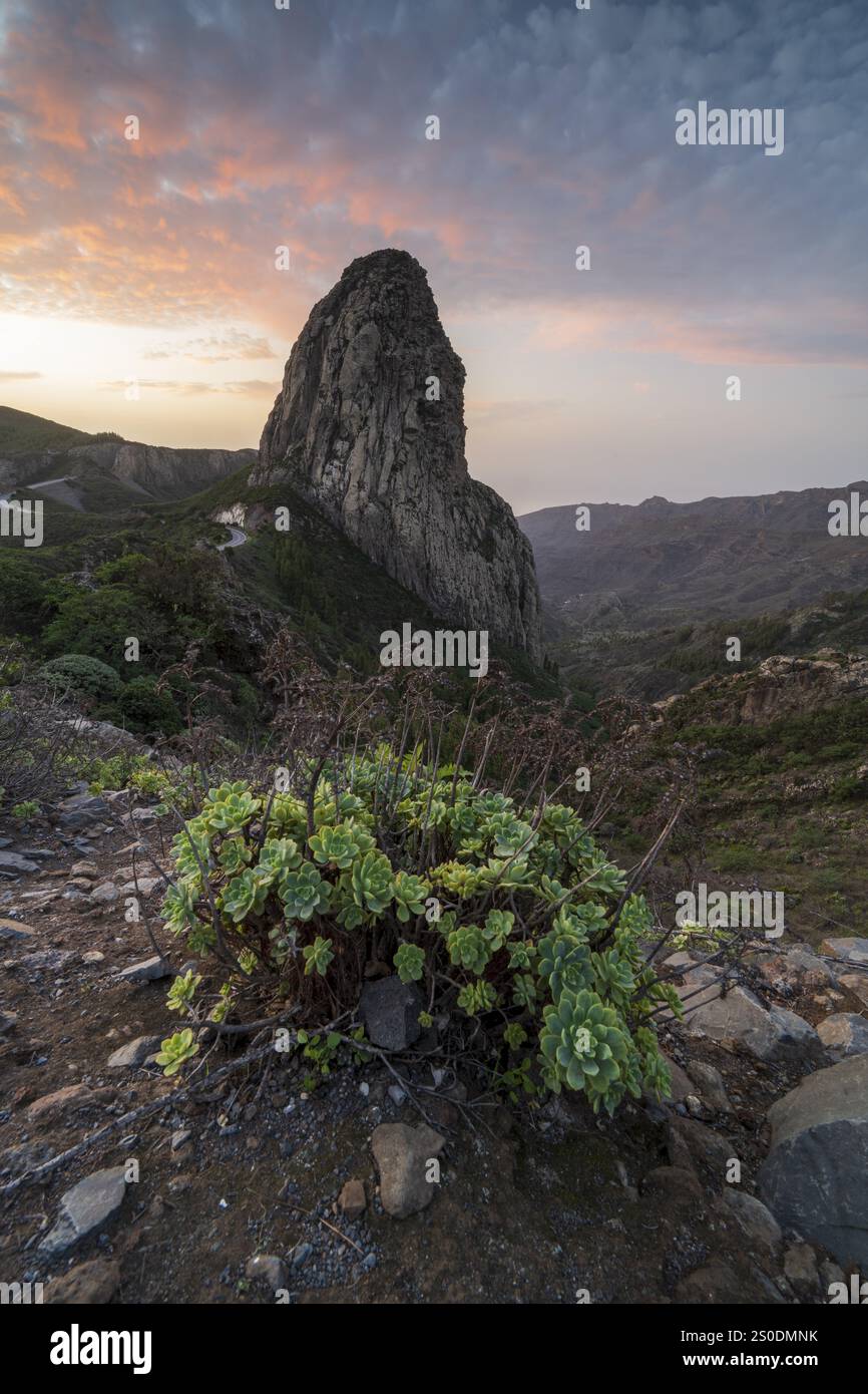 Roque de Agando rock tower at sunrise, Monumento Natural de los Roques ...