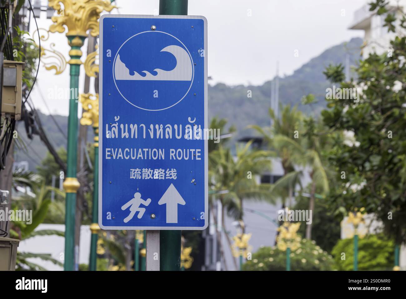 Tsunami Hazard Zone. Warning sign, signposting of escape routes in the ...