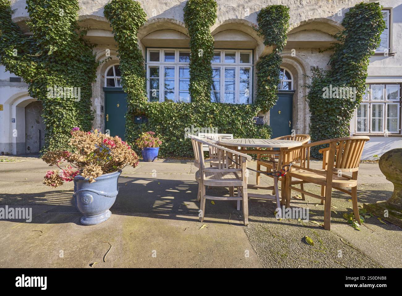 Common ivy (Hedera helix) on the facade of a historic house, seating ...