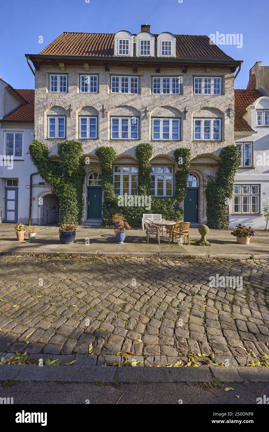 Historic house, facades with windows, doors and wall ties, Common ivy ...