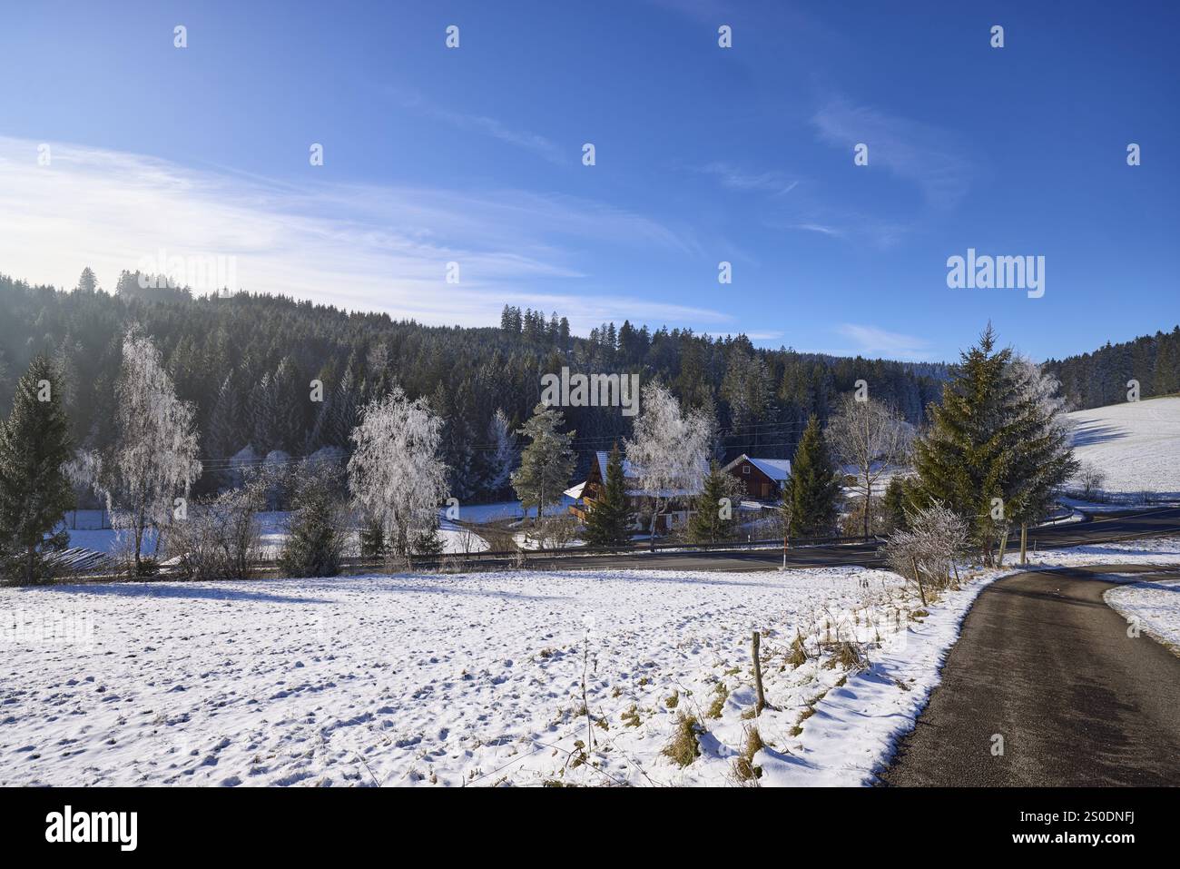 Winter landscape, snow, road, blue sky with veil clouds, Titisee ...