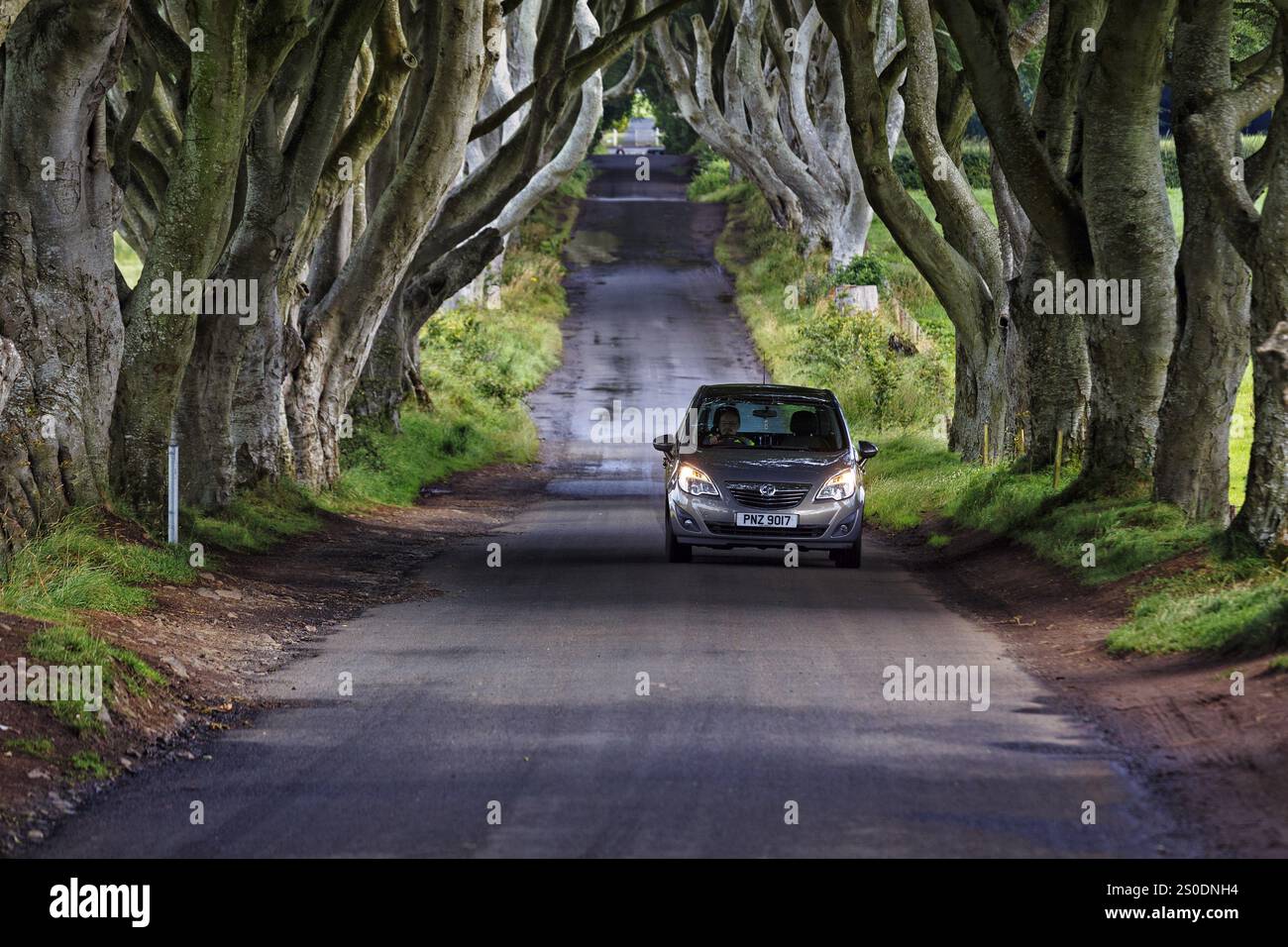 Dark hedges ireland cars hi-res stock photography and images - Alamy