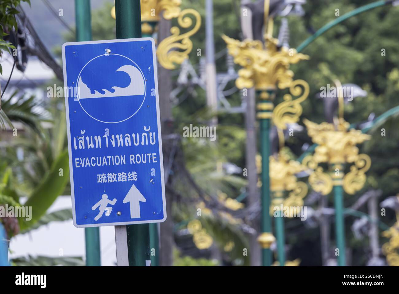 Tsunami Hazard Zone. Warning sign, signposting of escape routes in the ...