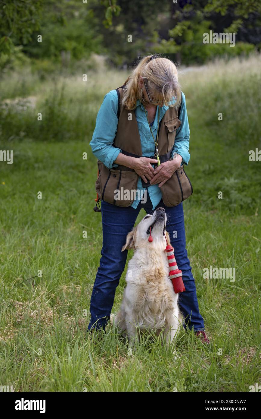 Woman with her Golden Retriever doing obedience training Stock Photo ...
