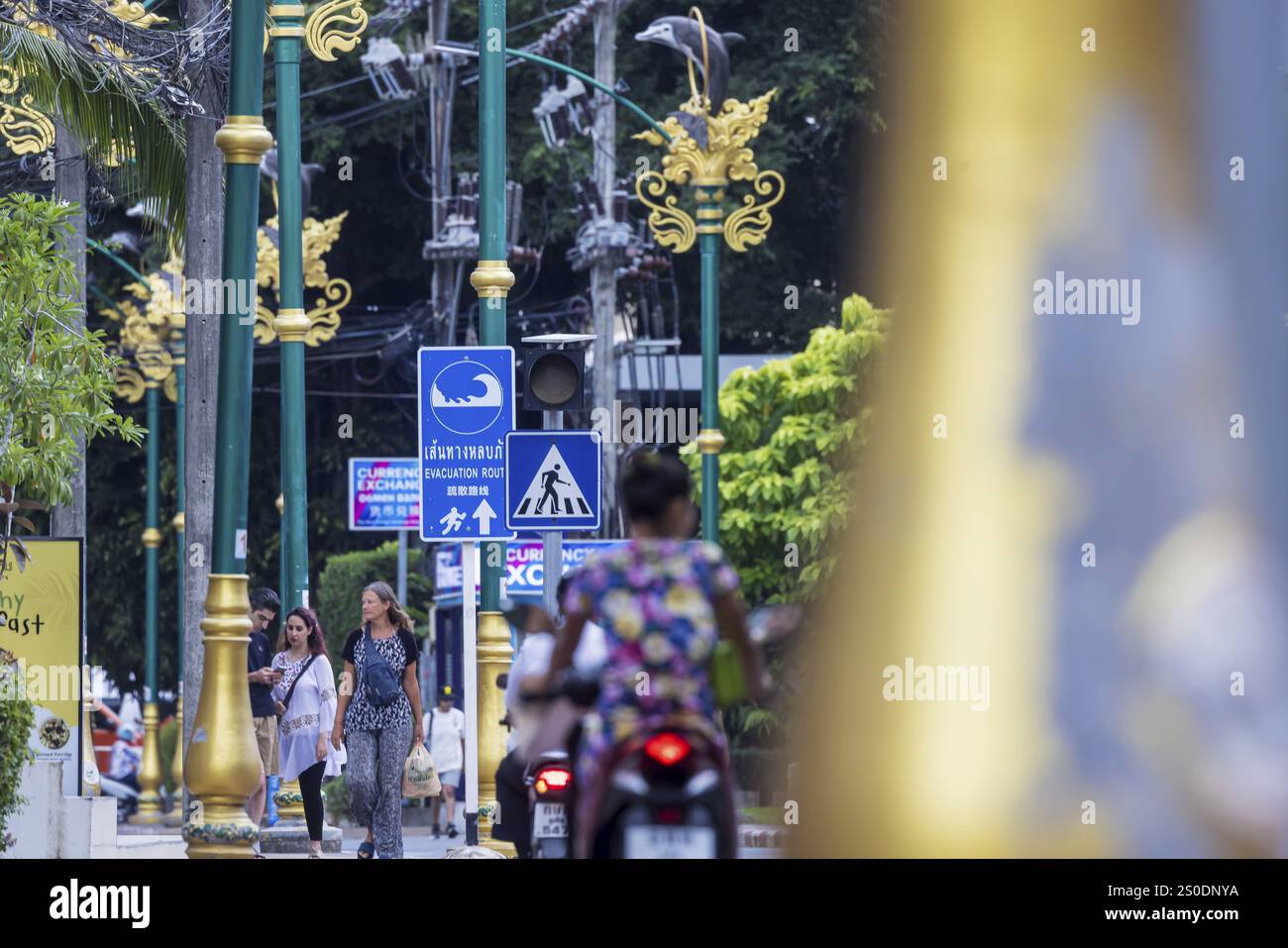Tsunami Hazard Zone. Warning sign, signposting of escape routes in the ...