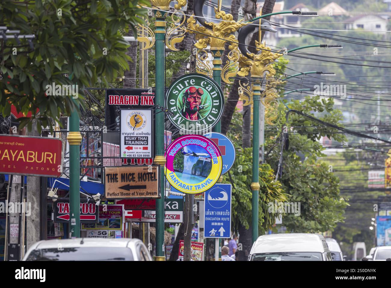 Tsunami Hazard Zone. Warning sign, signposting of escape routes in the ...