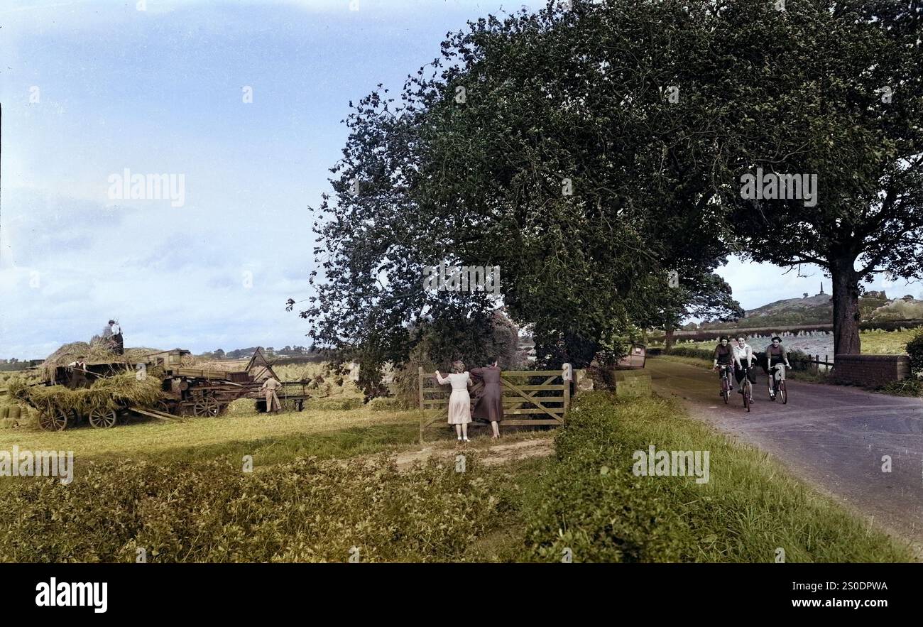 Rural harvest scene in summer Shropshire Britain Uk 1950s Stock Photo ...