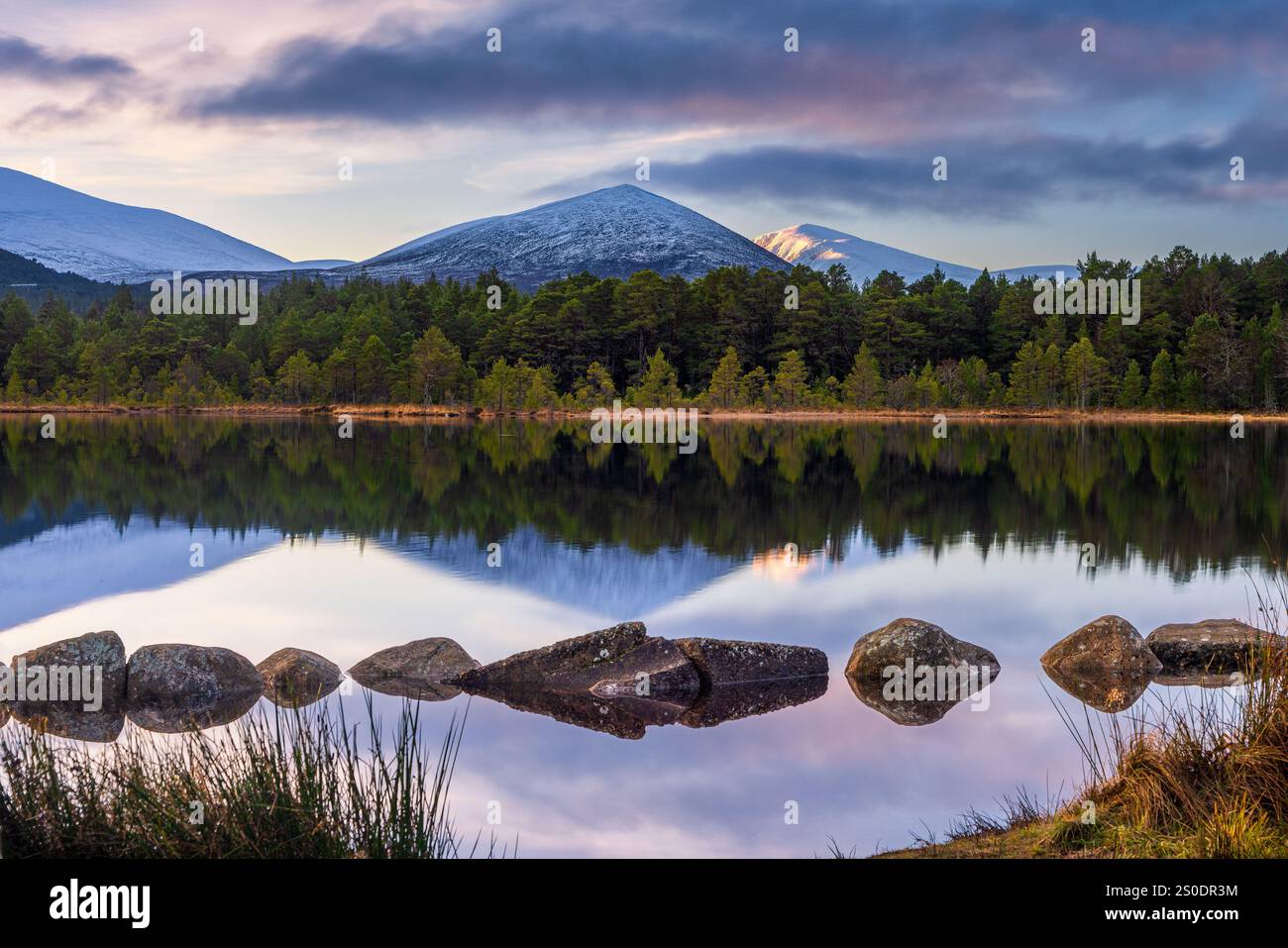 Loch Morlich winter landscape Stock Photo - Alamy