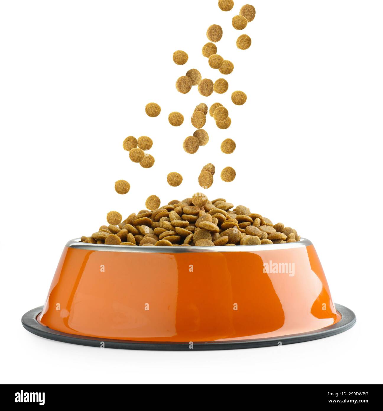 Dry pet food falling into bowl on white background Stock Photo - Alamy
