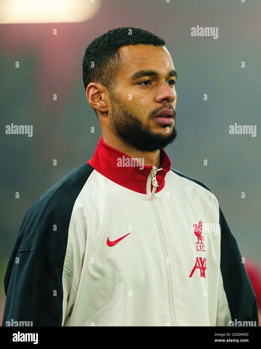Liverpool's Cody Gakpo during the Premier League match between ...