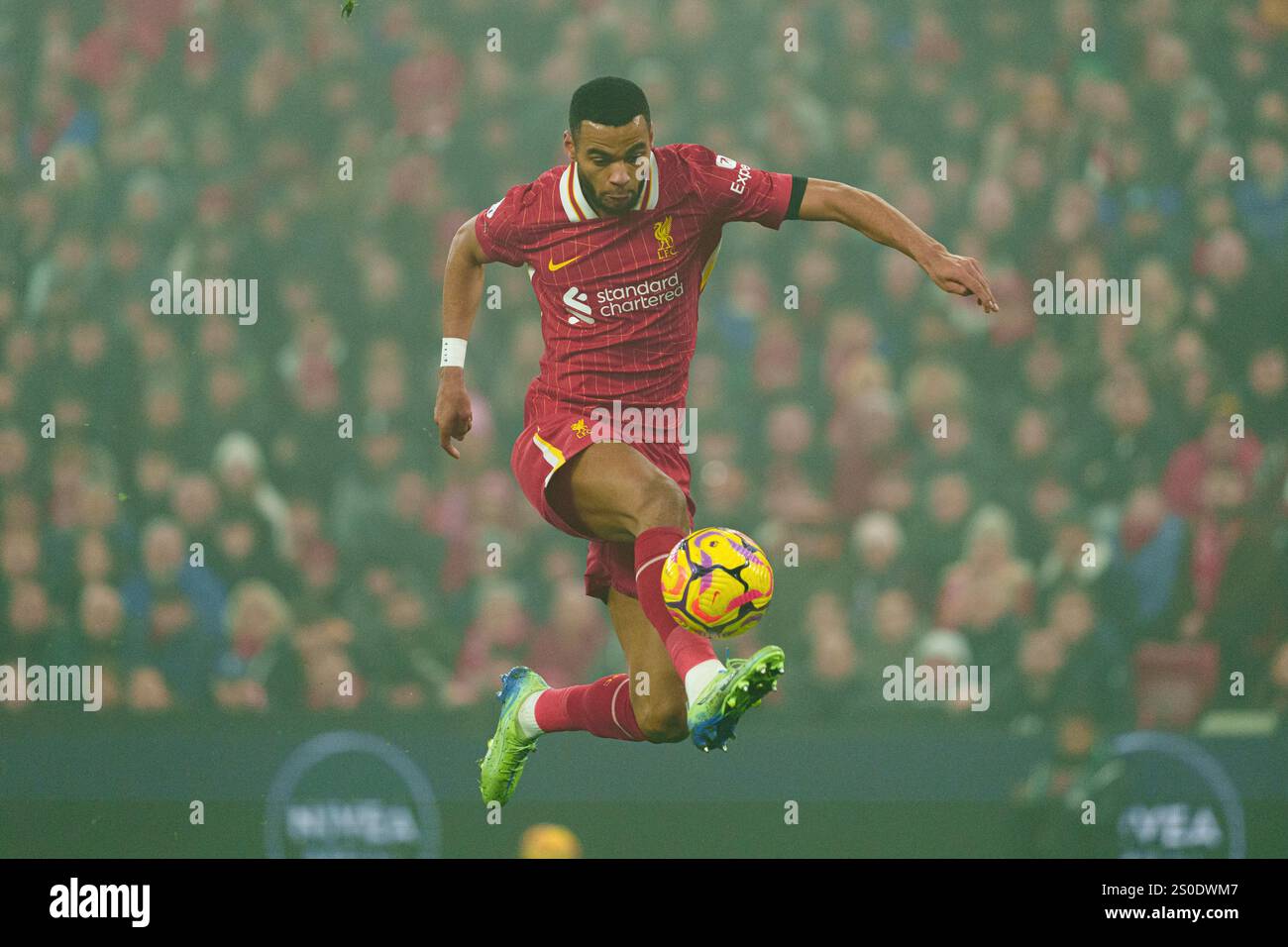 Liverpool's Cody Gakpo in action during the Premier League match ...