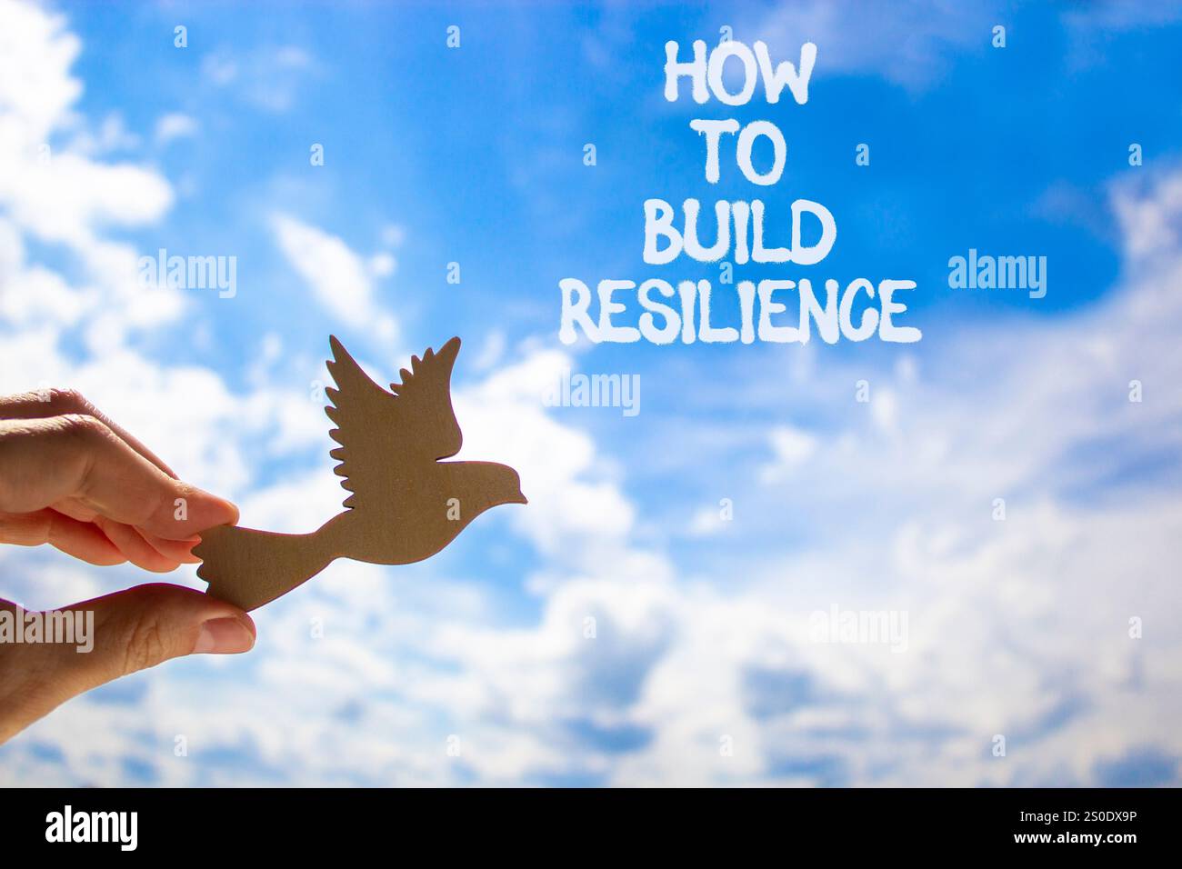 How to build resilience symbol. Concept words How to build resilience ...