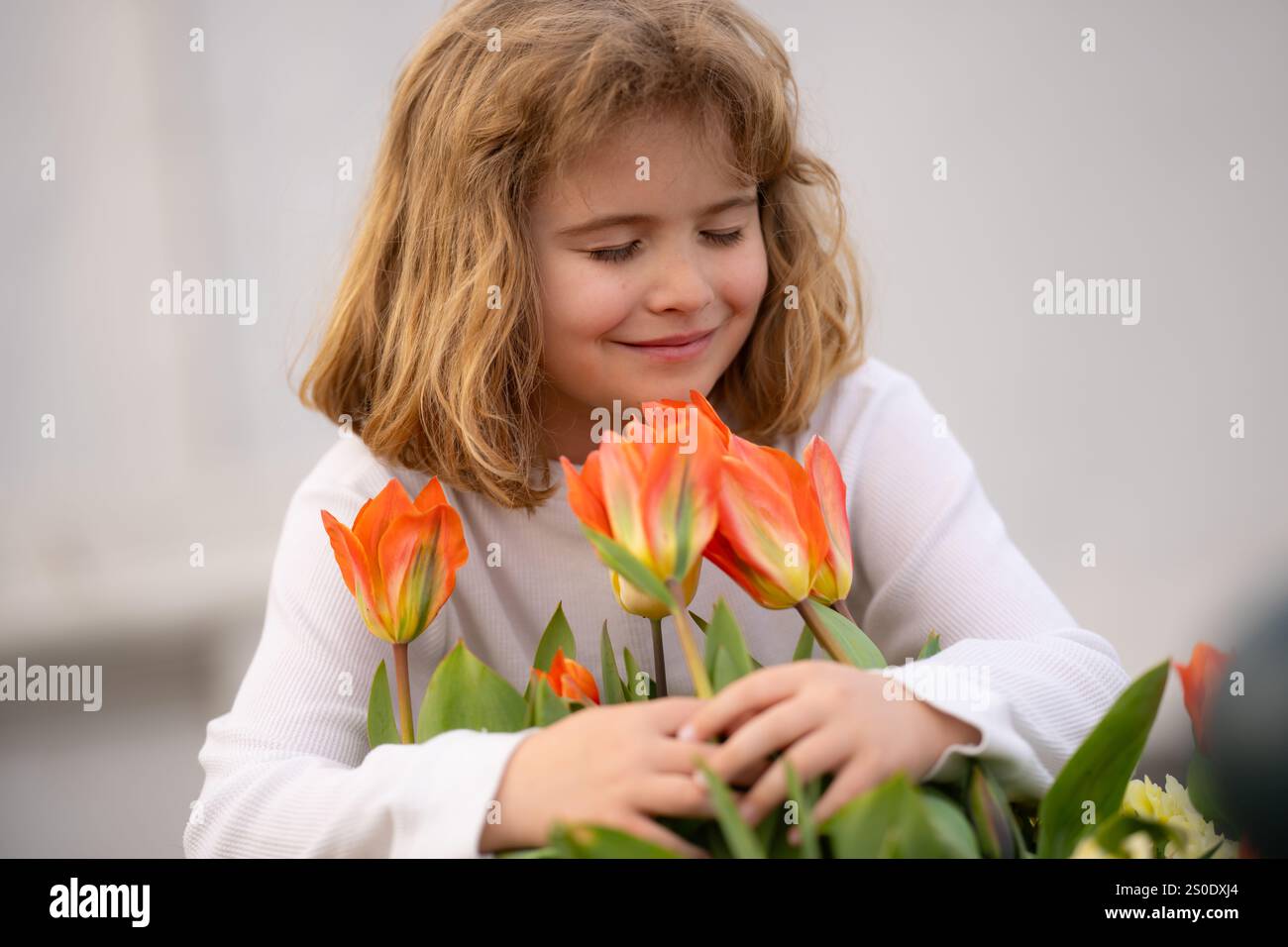 The pink tulip. A child in tulips park. Spring holidays. Kid smelling ...
