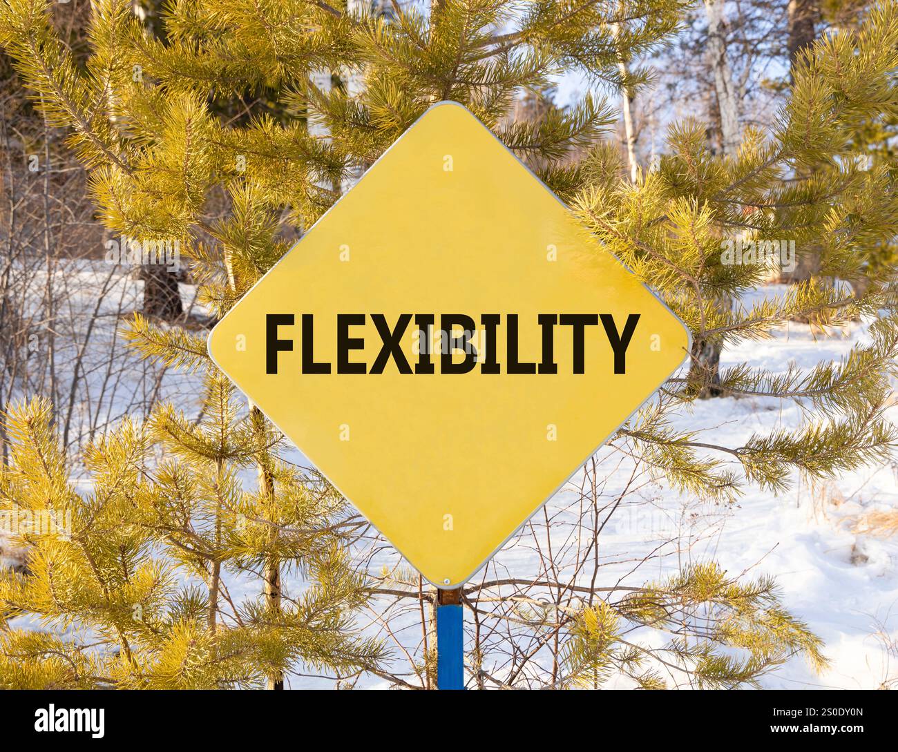 Flexibility symbol. Concept word Flexibility on beautiful yellow road ...