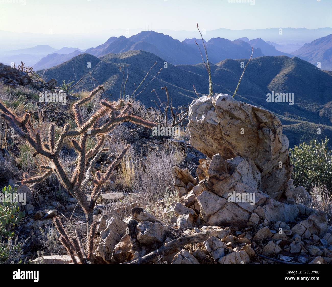 Wasson peak saguaro national park hi-res stock photography and images ...