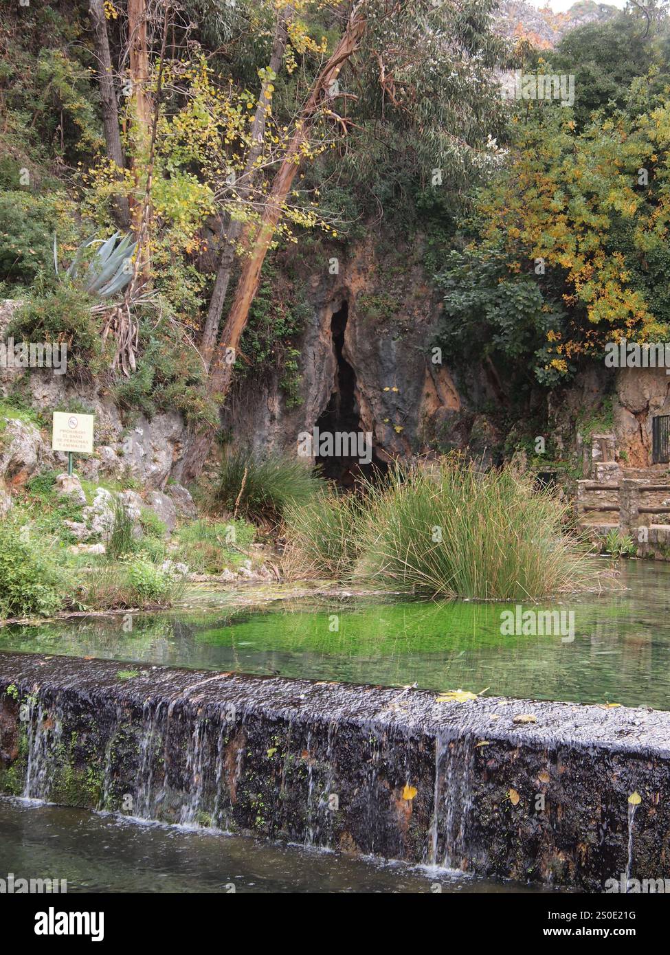 Nacimiento del Río Genal - Source of the river Genal Natural Monument ...
