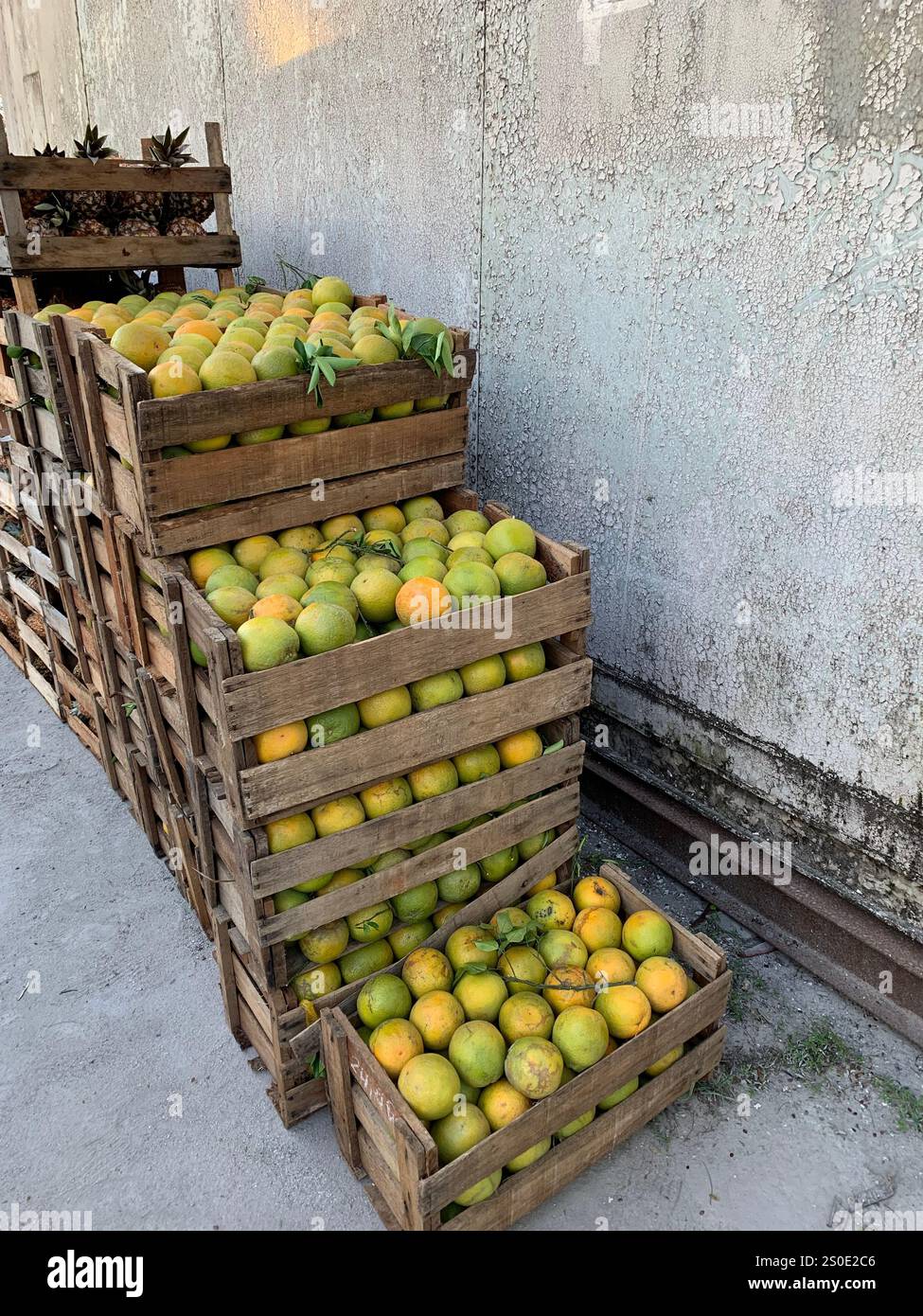 Piles of weathered wooden crates on the floor of a patio filled with ...