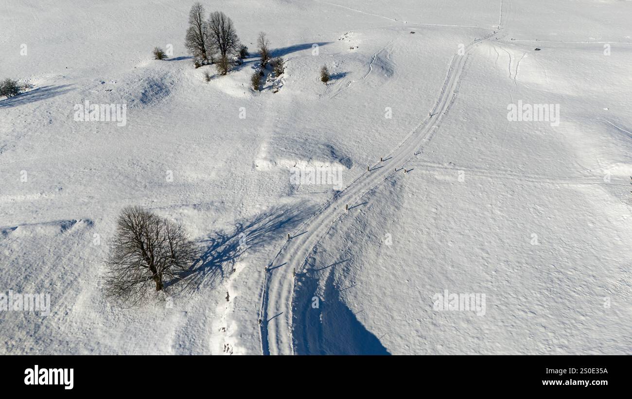 Aerial view of a snowy hillside featuring sparse trees and visible ...