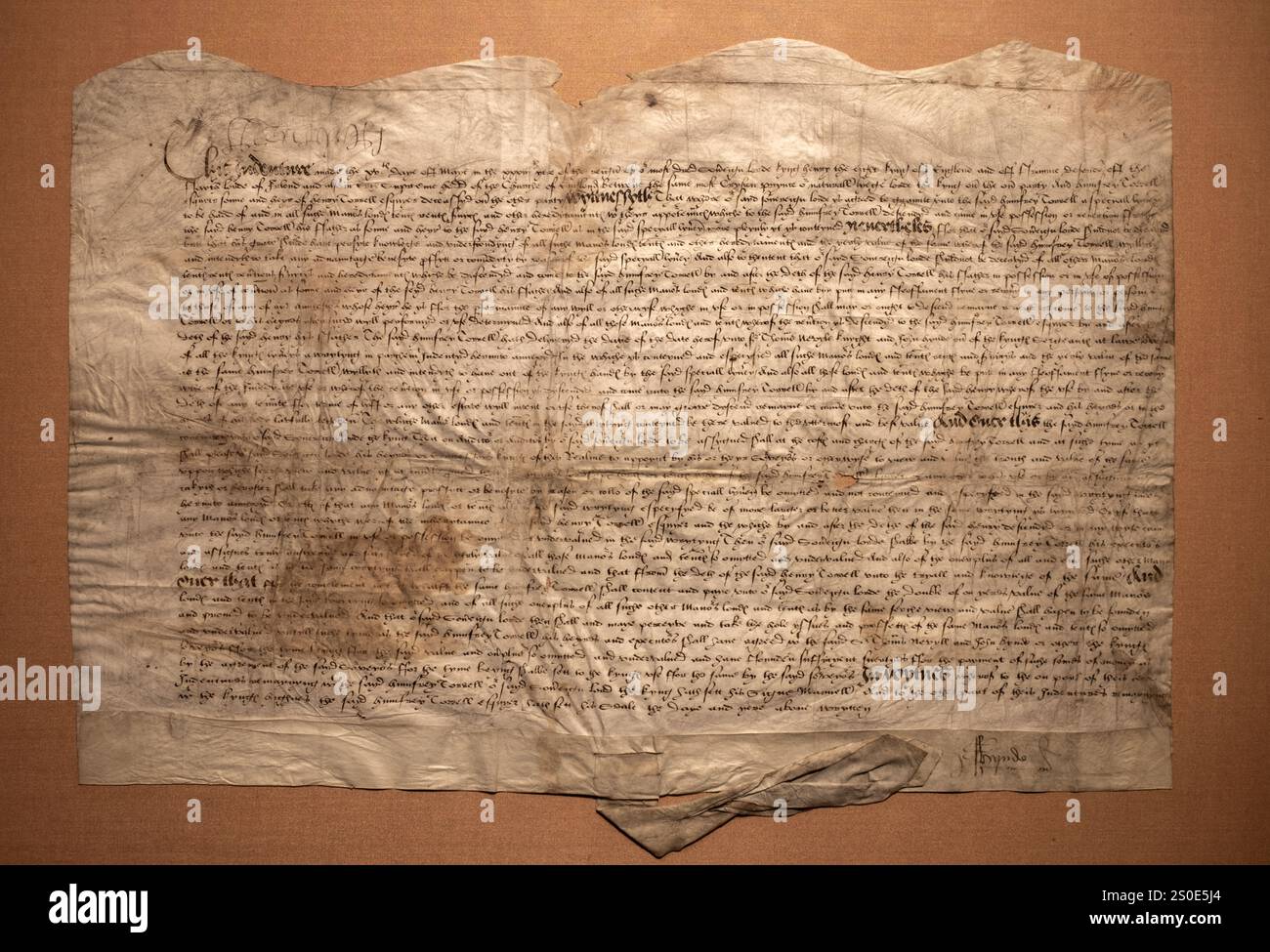 Historic Document Signed by King Henry VIII Stock Photo - Alamy