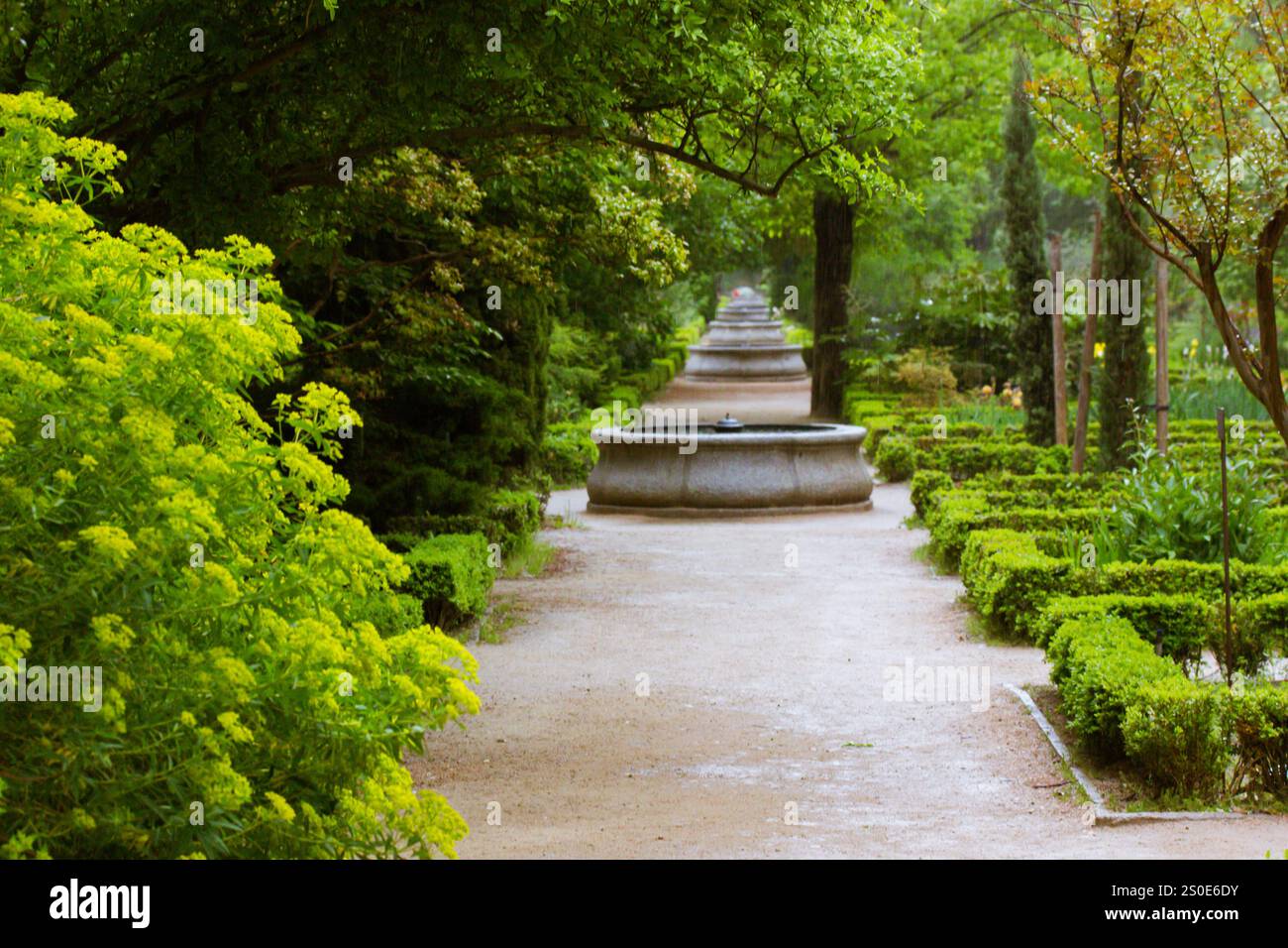 Straight road path goes into a distance into a spring garden. Green trees and trimmed bushes ...