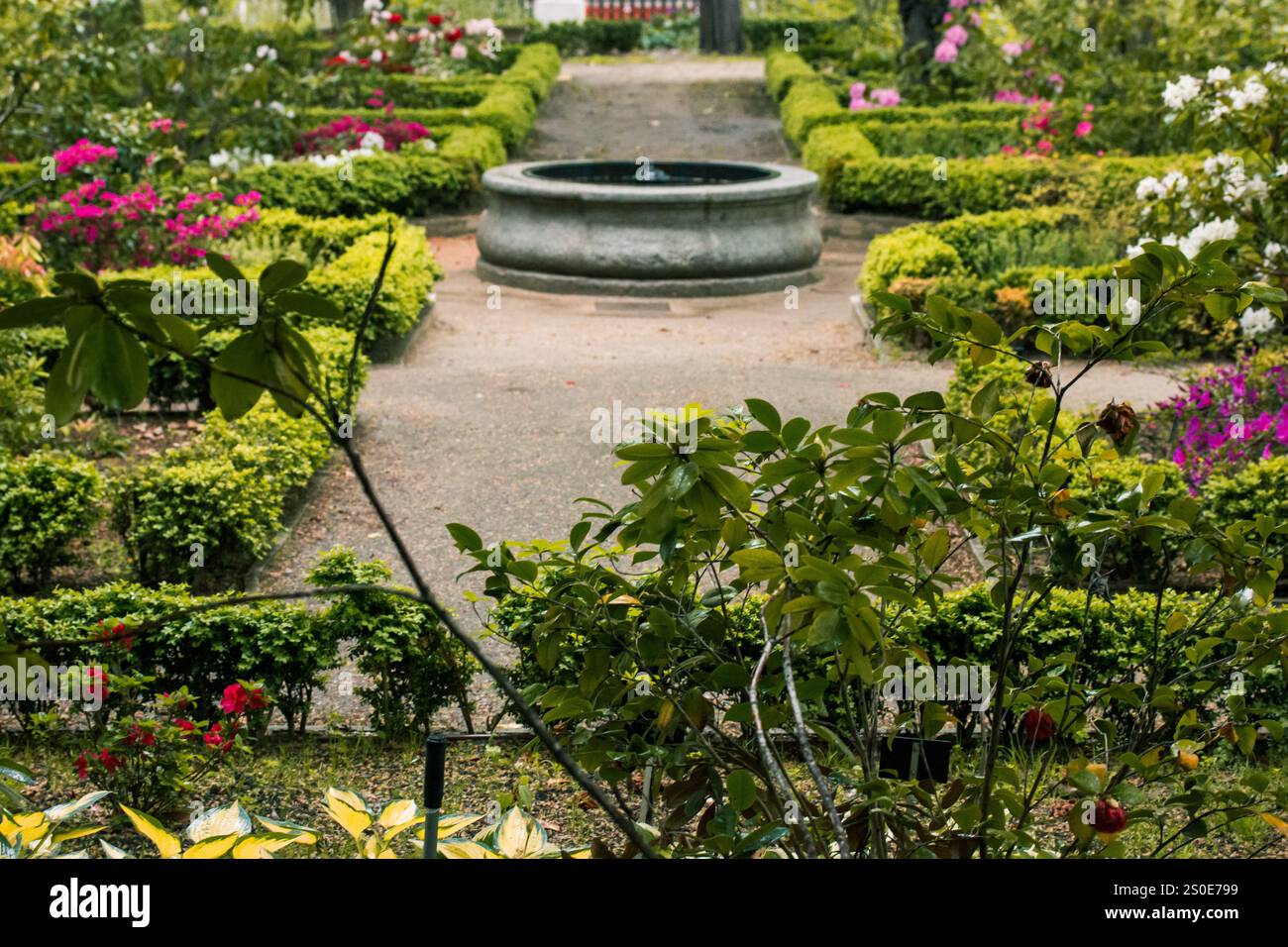 Straight road path goes into a distance into a spring garden. Green ...