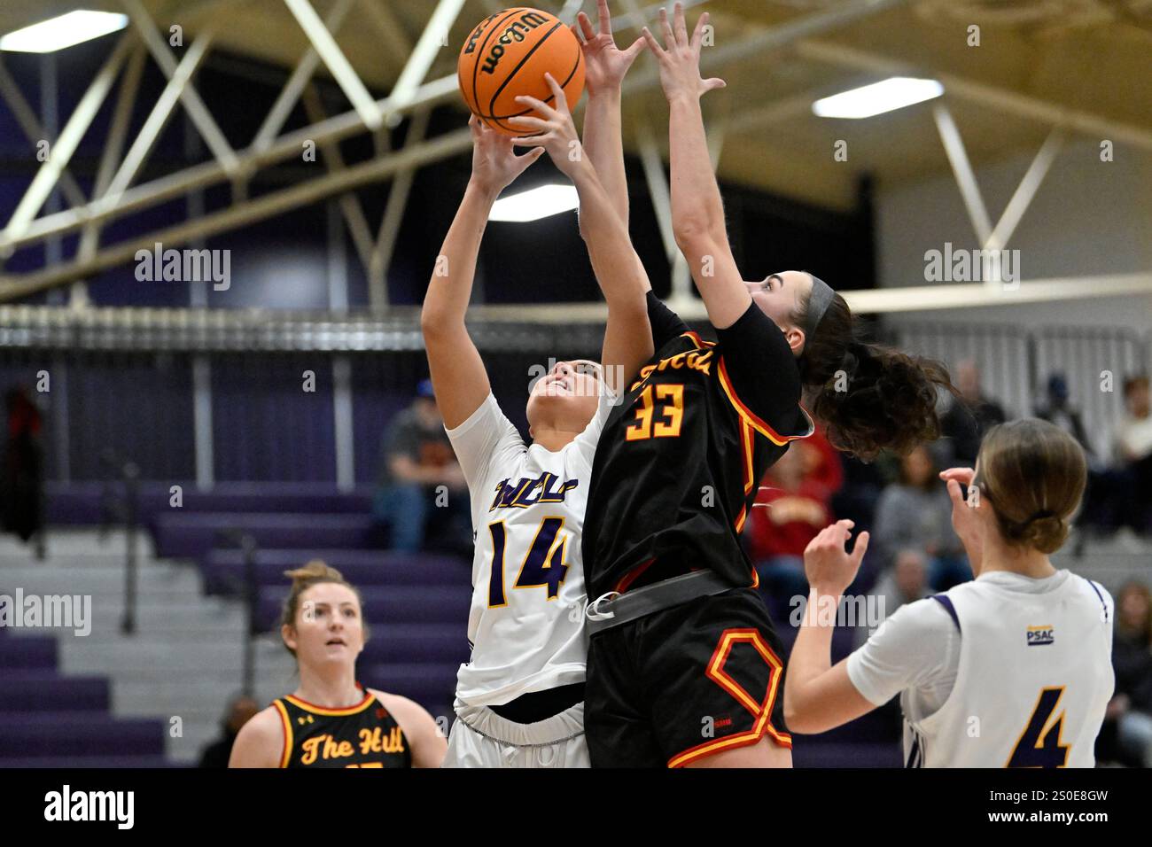 December 21, 2024, West Chester, Pennsylvania, U.S: West Chester Rams ...