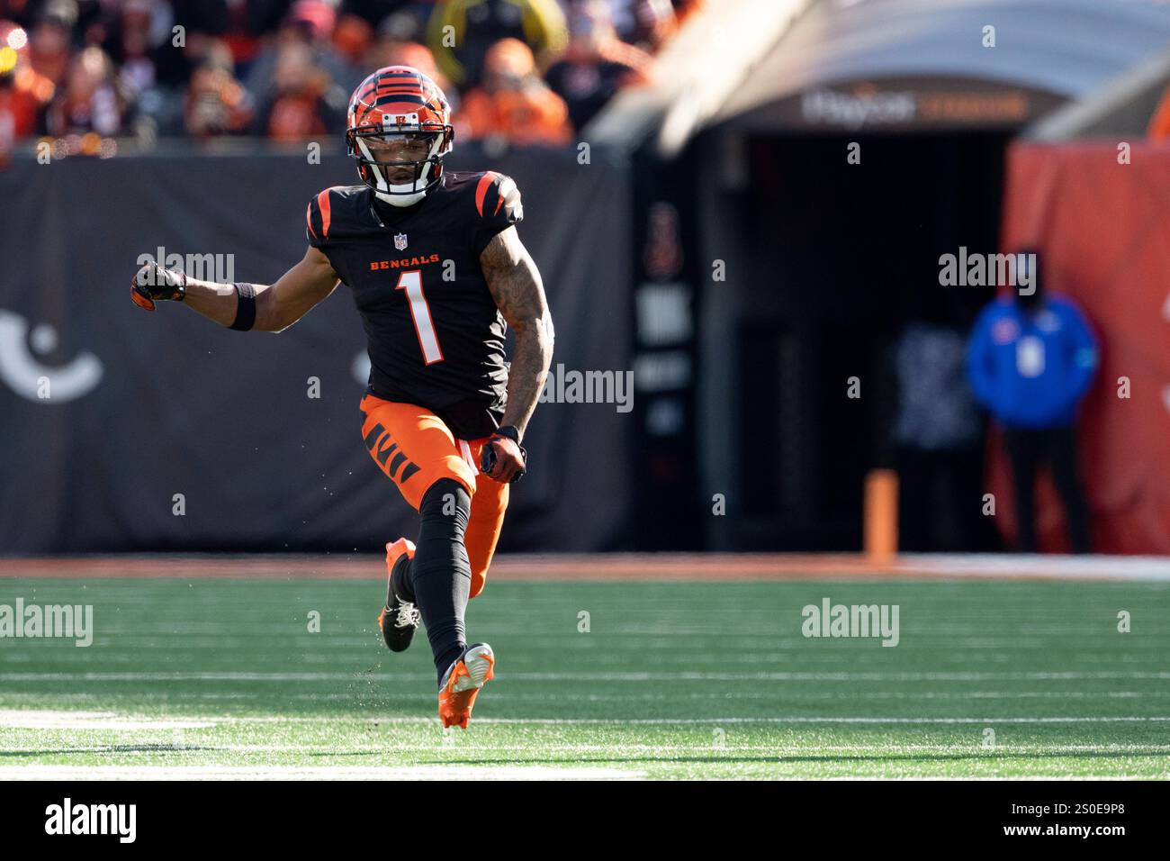 Cincinnati Bengals wide receiver Ja'Marr Chase runs a route during the ...