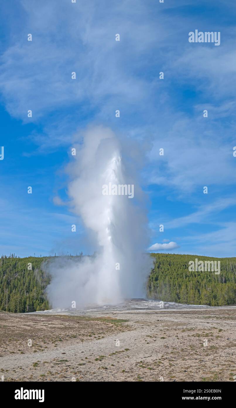Old Faithful Erupting on an Early Spring Day in Yellowstone National ...
