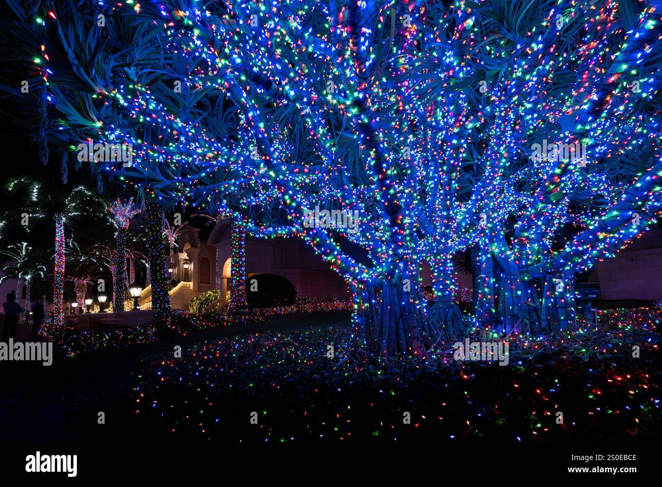 Christmas lights. Hutchinson Island Mansion (Robert Eustace estate ...