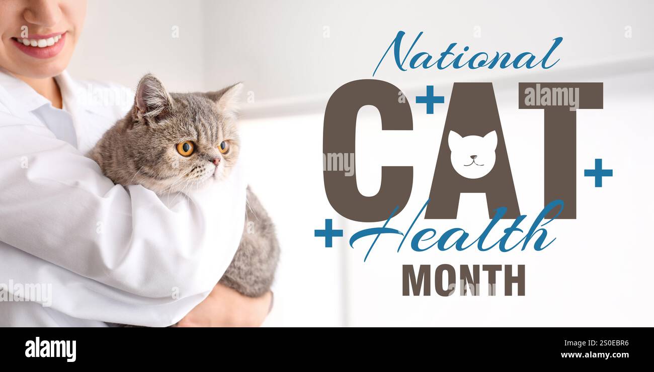 Veterinarian with cat in clinic. Banner for National Cat Health Month ...