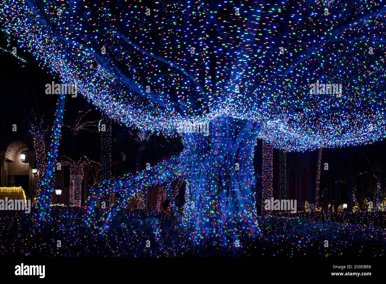 Christmas lights. Hutchinson Island Mansion (Robert Eustace estate ...