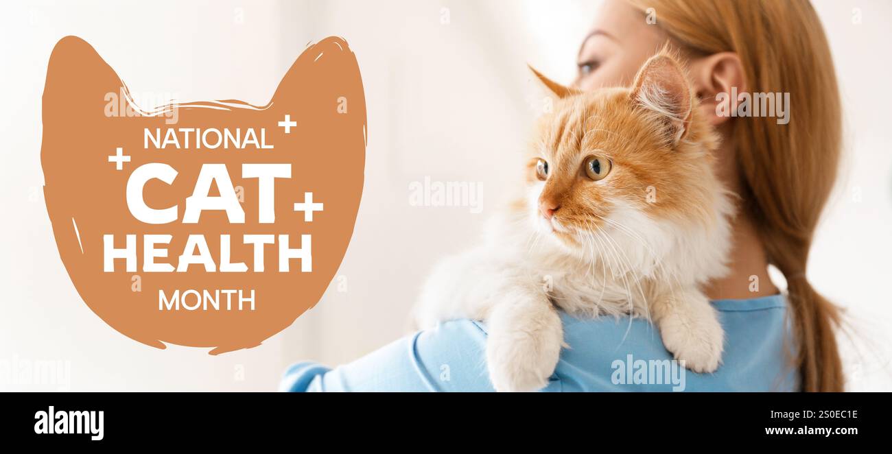 Female veterinarian with cat in clinic. Banner for National Cat Health ...