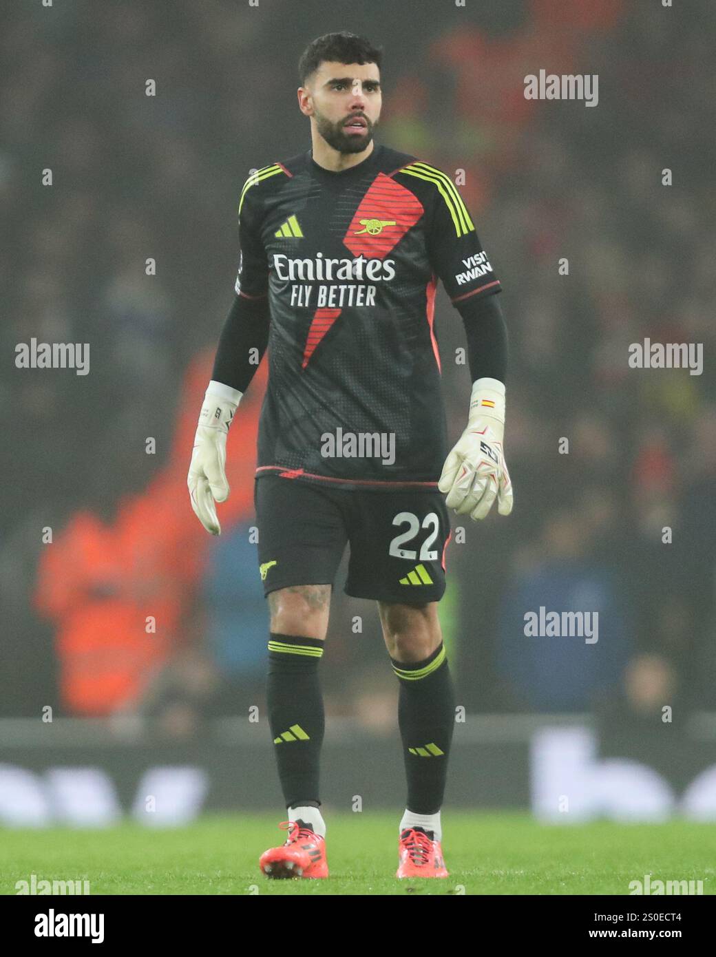 David Raya of Arsenal during the Premier League match Arsenal vs ...