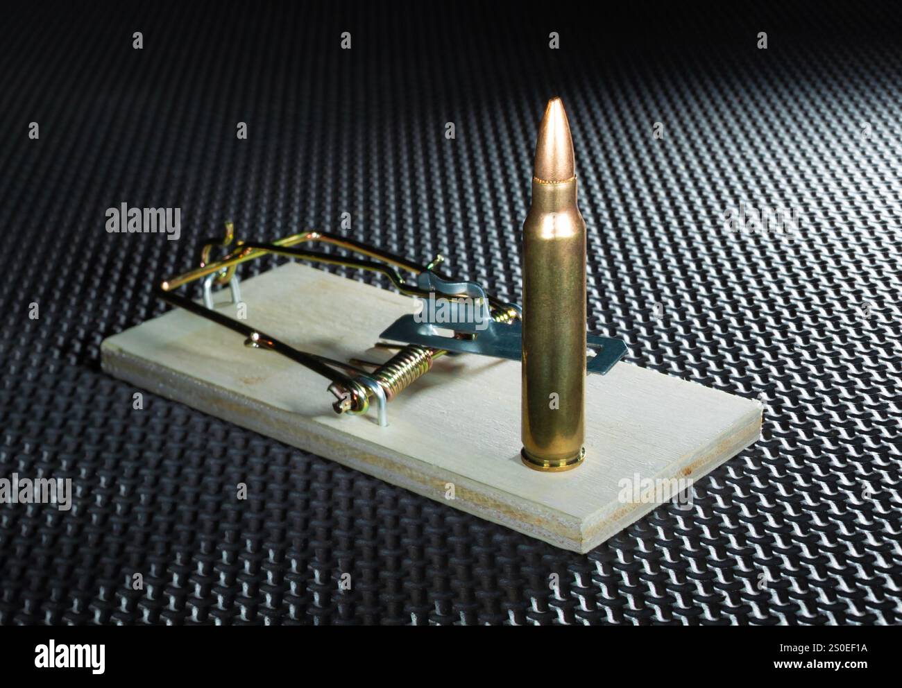 Mouse trap with a single cartridge for a modern sporting rifle as bait ...