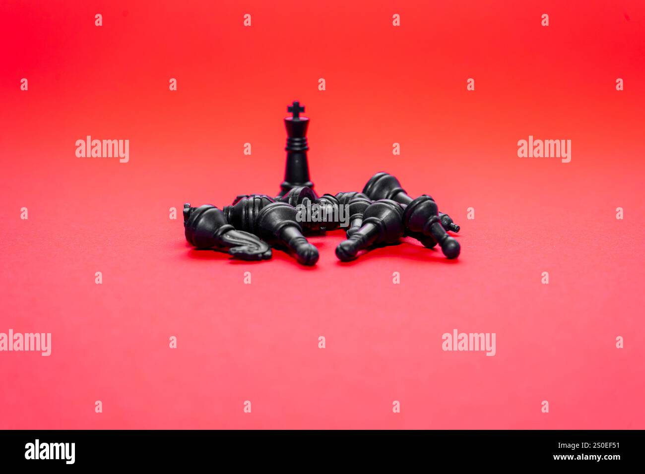A group of black chess pieces lies scattered on a vibrant red ...