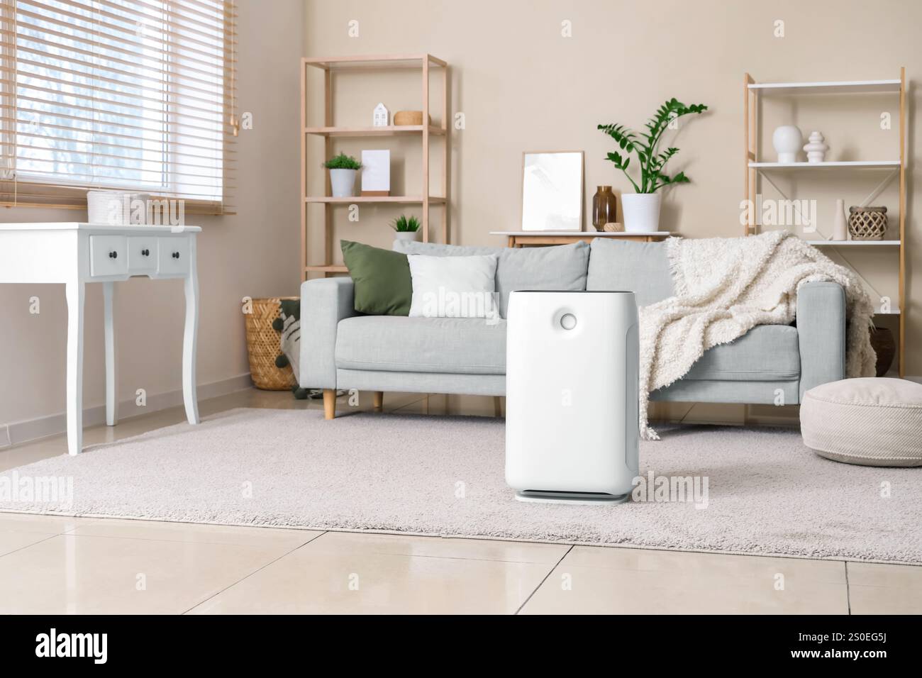 Interior of living room with air purifier, sofa and shelf units Stock ...