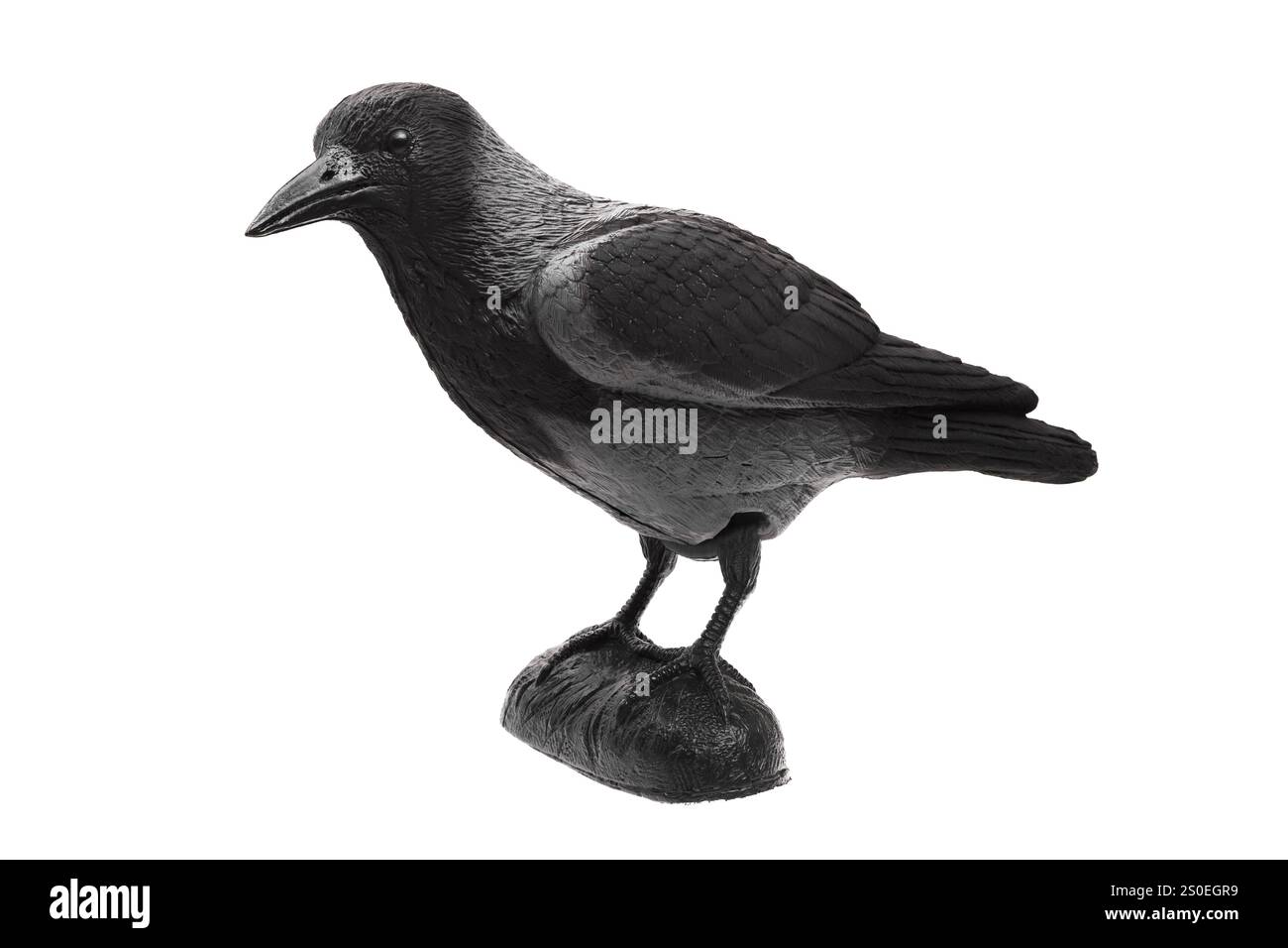 A realistic black crow statue standing on a rock, detailed feathers and ...