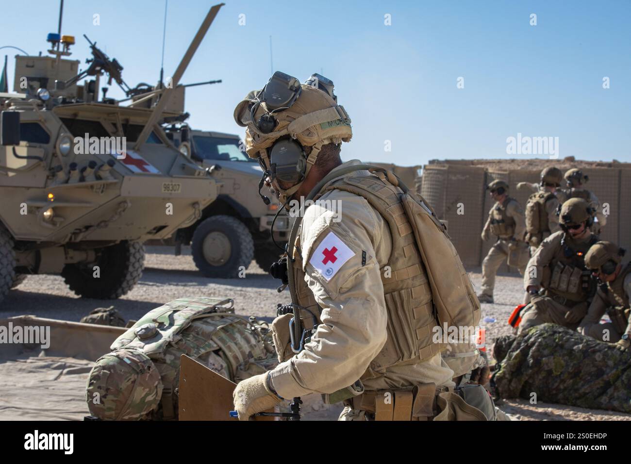 A Norwegian Army service member from Task Force Viking and U.S. Army ...