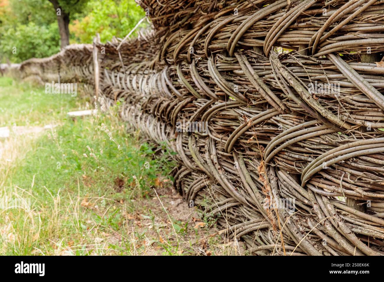 A fence made of wicker is in a grassy field. The fence is made of many ...